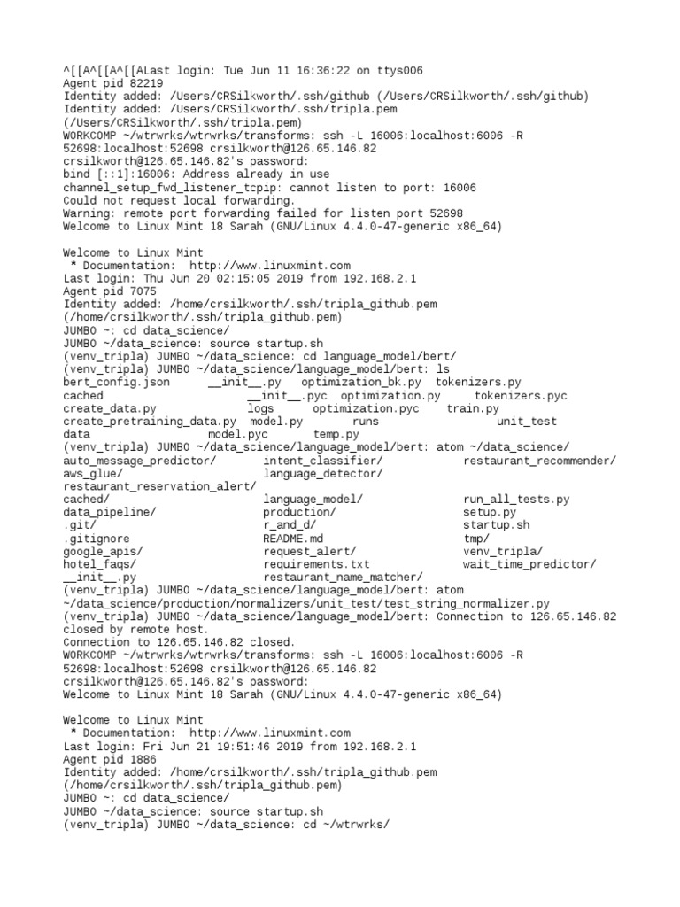 Terminal Saved Output | PDF | Cache (Computing) | Secure Shell