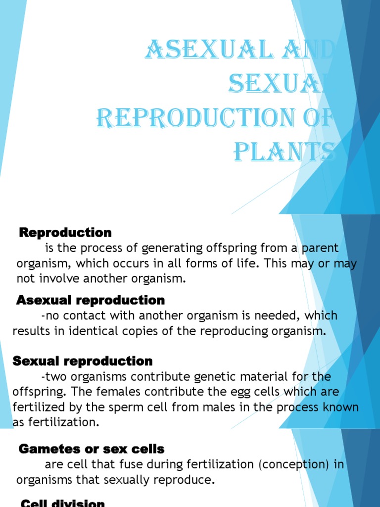 Plant Reproduction: Asexual vs Sexual | PDF | Plant Reproduction ...