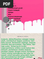 Proyeksi Pelvis Outlet Dan Inlet Pada Pemeriksaan Trauma Pelvis | PDF