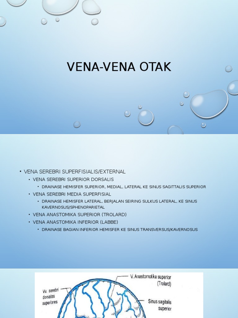 Vena Vena Otak | PDF | Memasak, Makanan, & Anggur | Griya & Taman