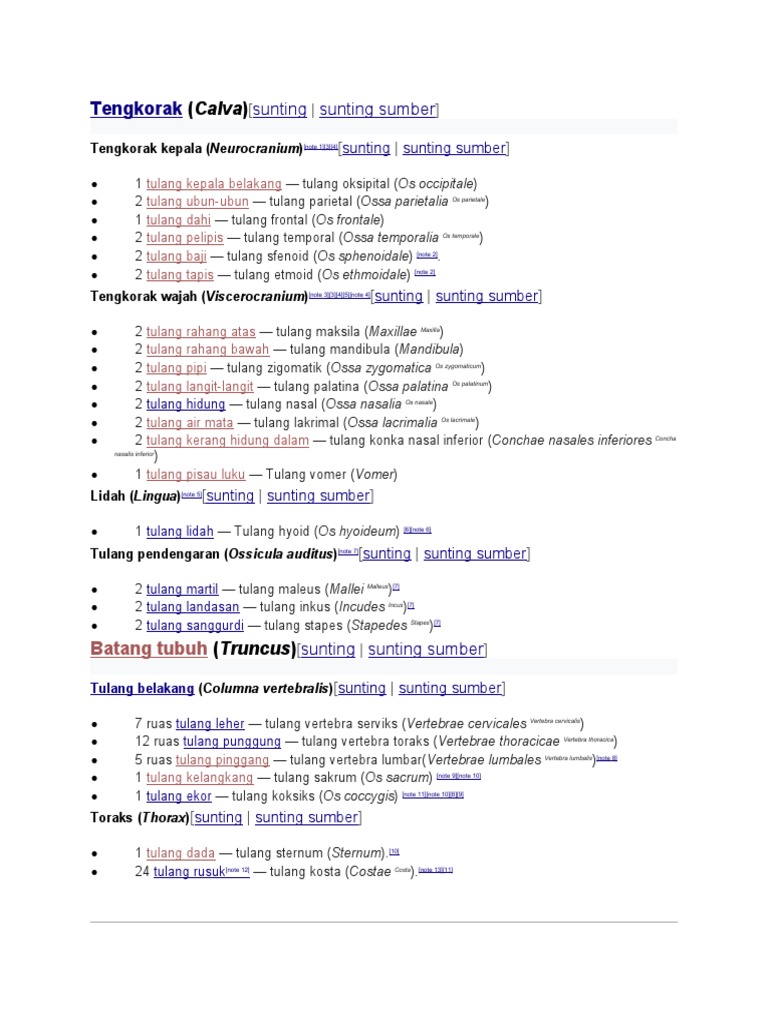 Nama Latin Tulang | PDF | Foot | Limbs (Anatomy)