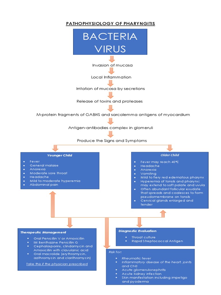Pathophysiology of Pharyngitis | PDF | Rtt | Immunology