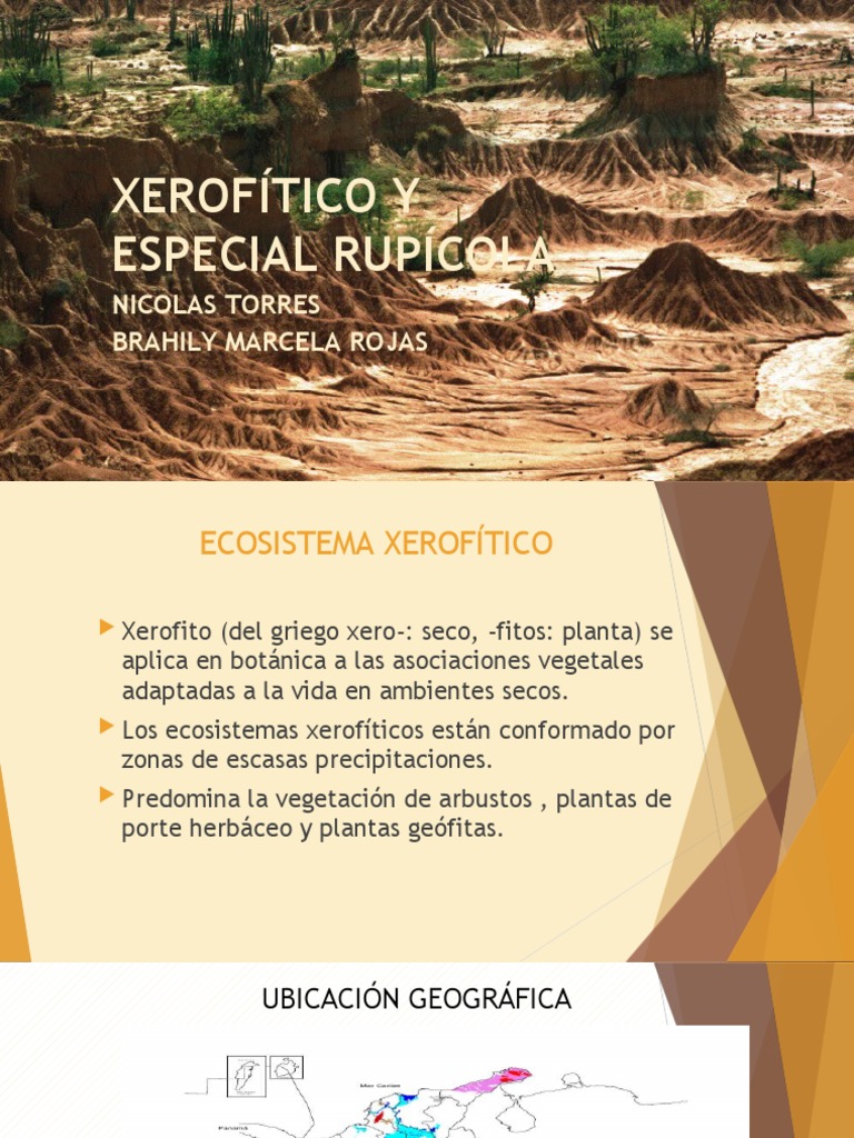 Xerofítico y Especial Rupícola | PDF | Ecosistema | Conservación del ...