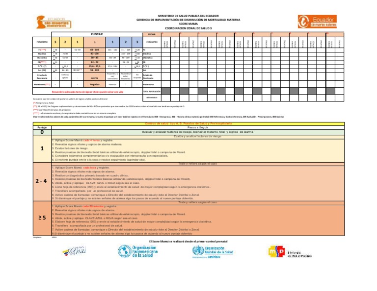 Score - Mama - MSP 2020 | PDF | Especialidades Medicas | Cuidado de la salud
