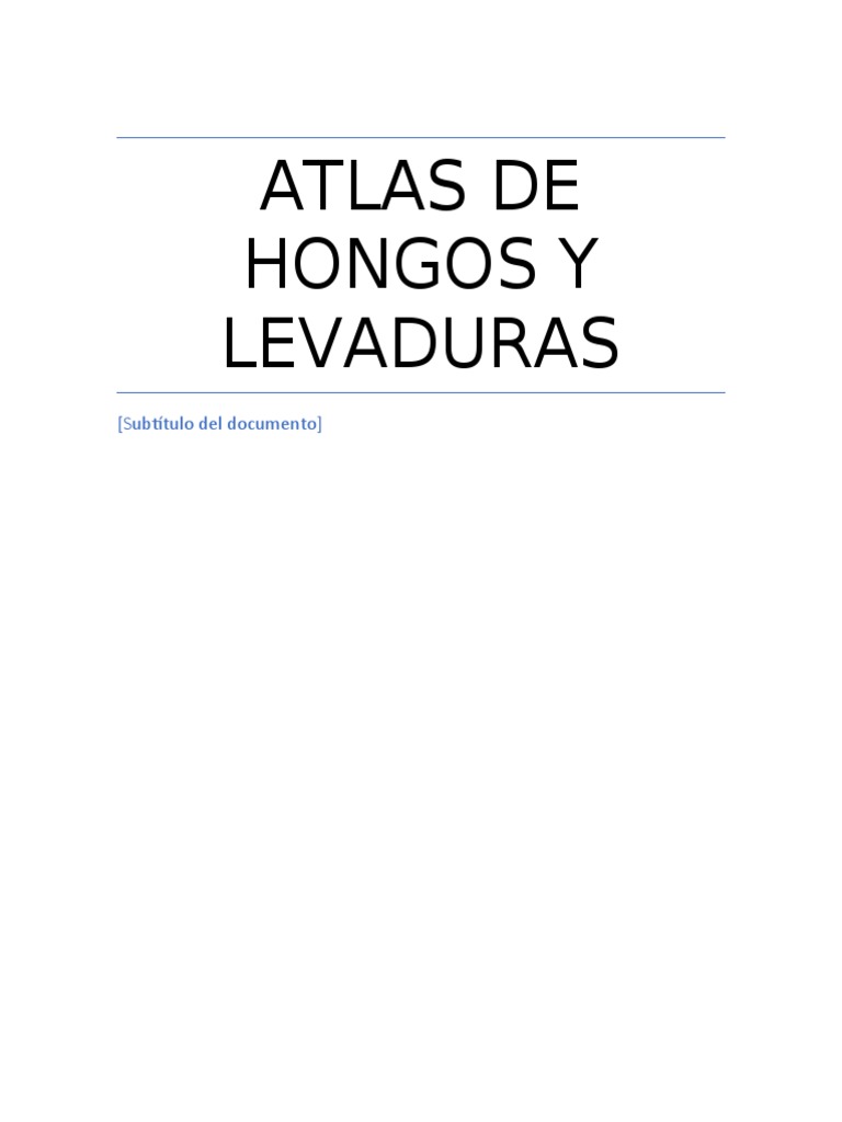 Hongos Y Levaduras Pdf Hongo Eucariotas