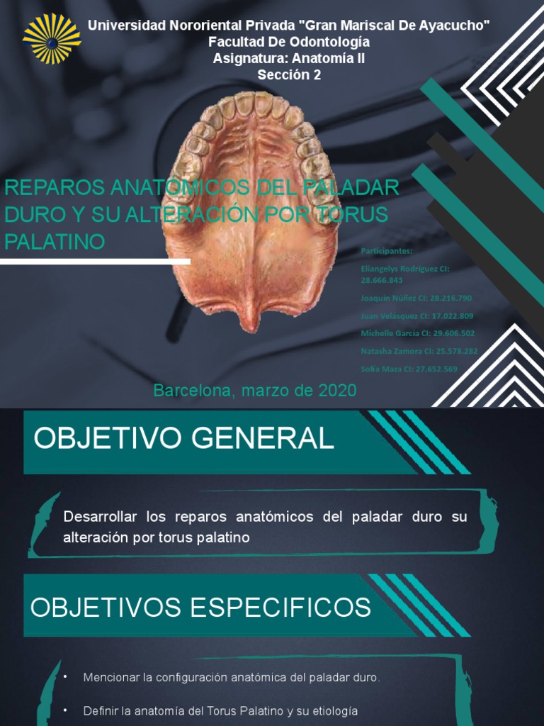 Paladar Duro y Torus Palatino | PDF | Odontología | Hueso
