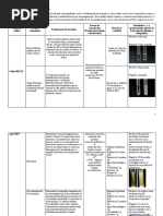 Pruebas Bioquimicas para Enterobacterias | PDF | Química | Las bacterias