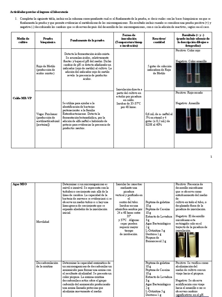 Tabla Pruebas Bioquímicas Enterobacterias 2020A | PDF | Fenilalanina | Enzima
