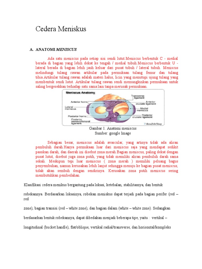 Cedera Meniskus | PDF