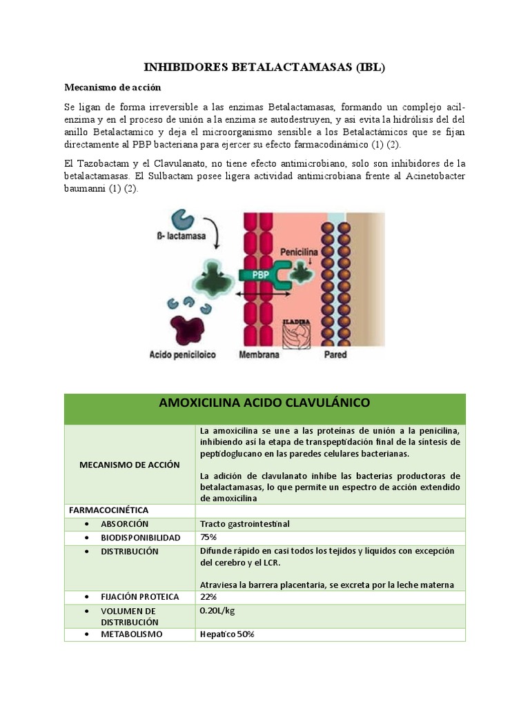 INHIBIDORES BETALACTAMASAS | Penicilina | Farmacocinética