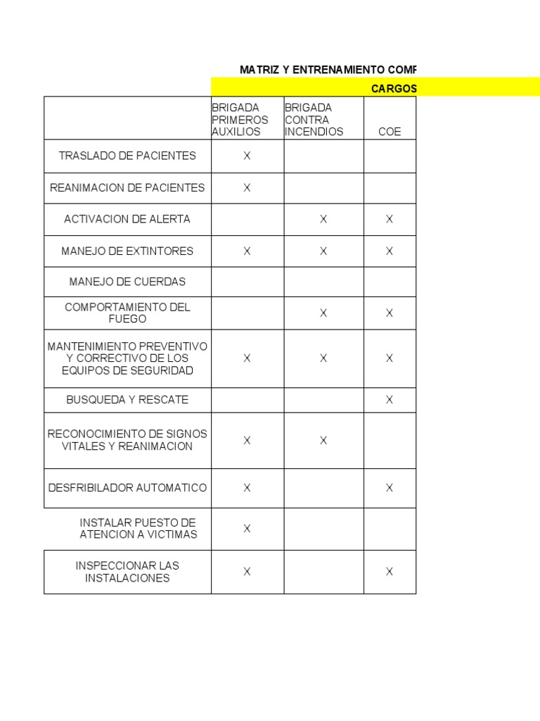 Matriz de Entrenamiento y Capacitacion Apto | PDF