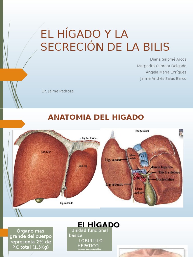 Hígado y Secreción Biliar | PDF | Bilis | Hígado
