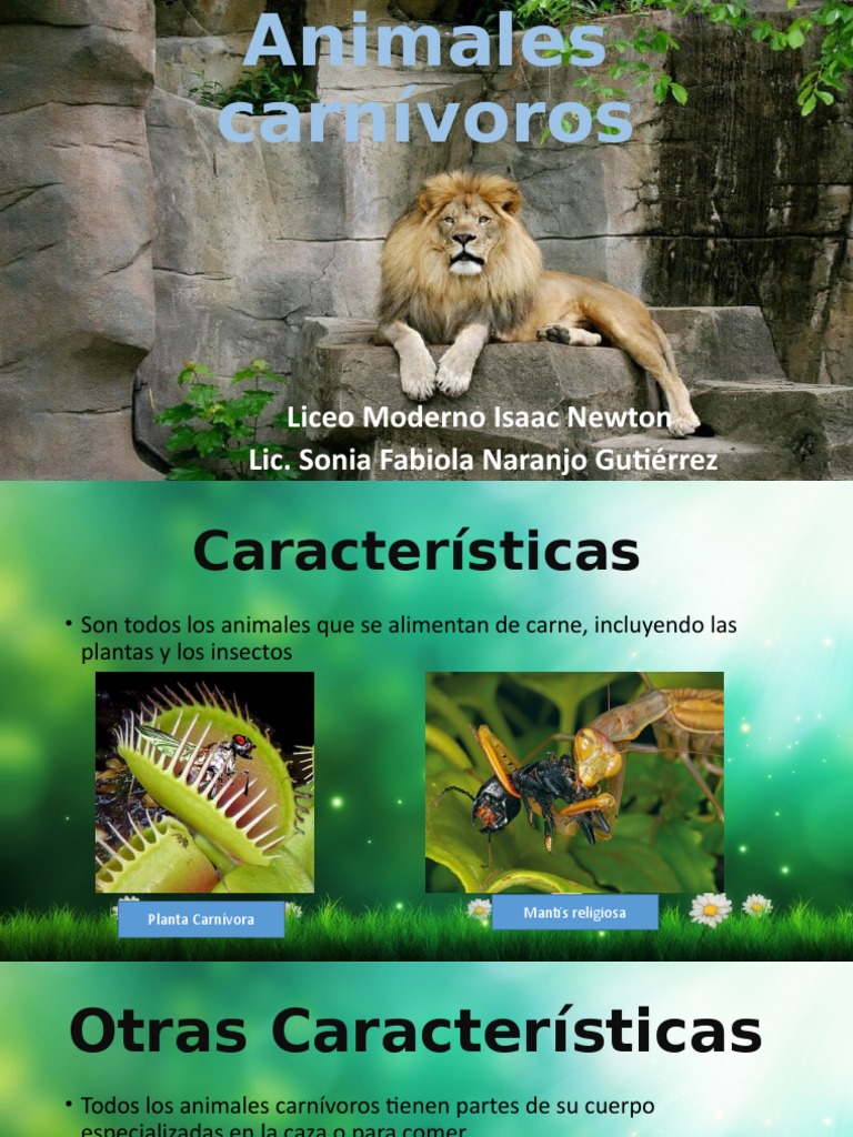 Animales Carnívoros | PDF