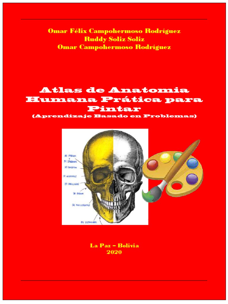 Atlas de Anatomia-Medicina - R | PDF | Mano | Hombro