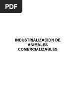 Visita Al Rastro | PDF | Carne | Matadero