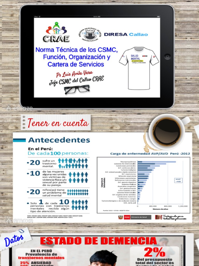 Norma, Funciones y Servicios CSMC | PDF | Medicina Física y ...