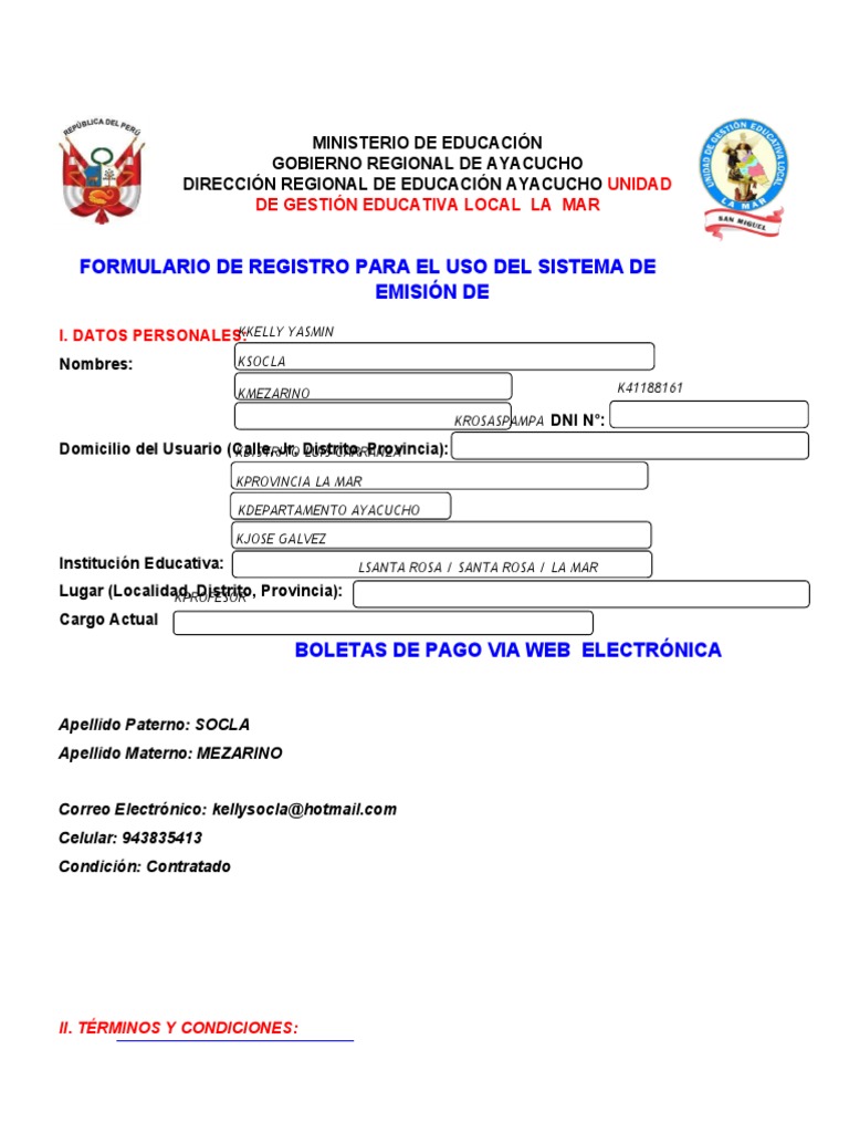 Formato para Boleta | PDF | Informática | Informática y tecnología de ...