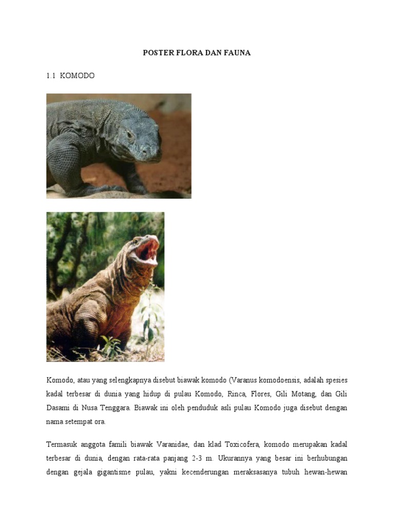 Poster Flora Dan Fauna | PDF