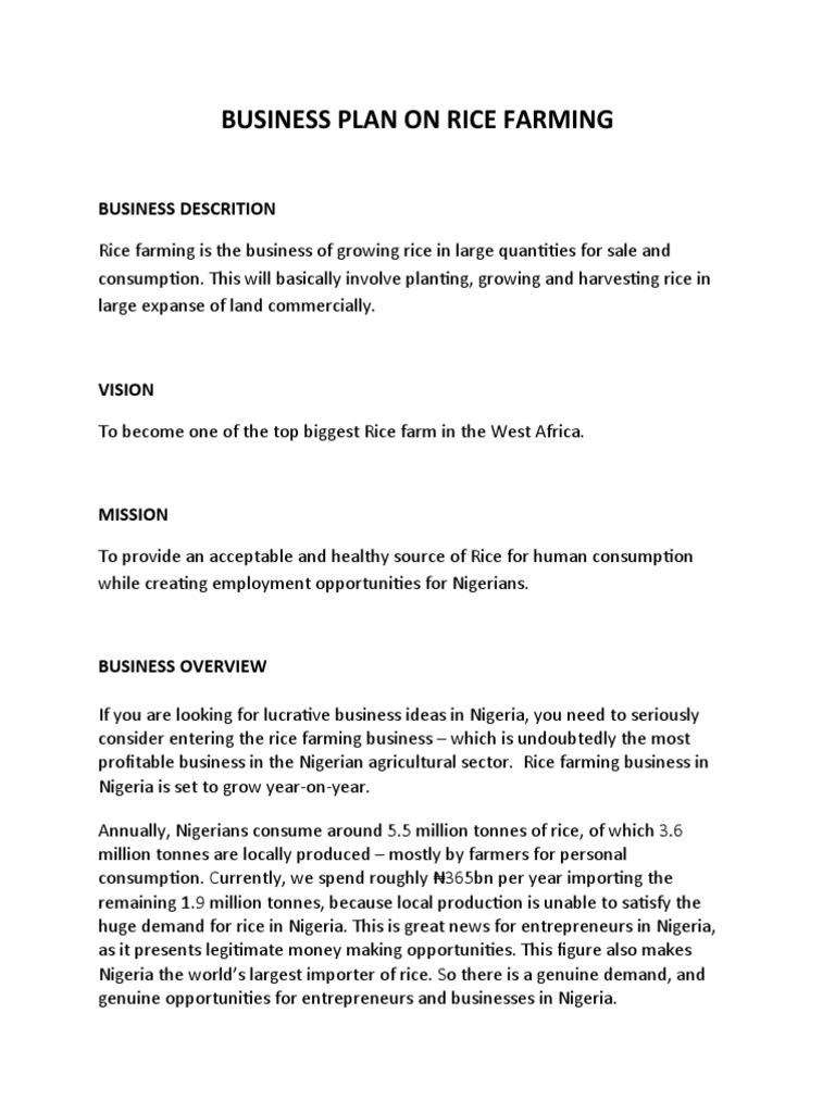 Business Plan On Rice Farming | PDF | Rice | Cereals