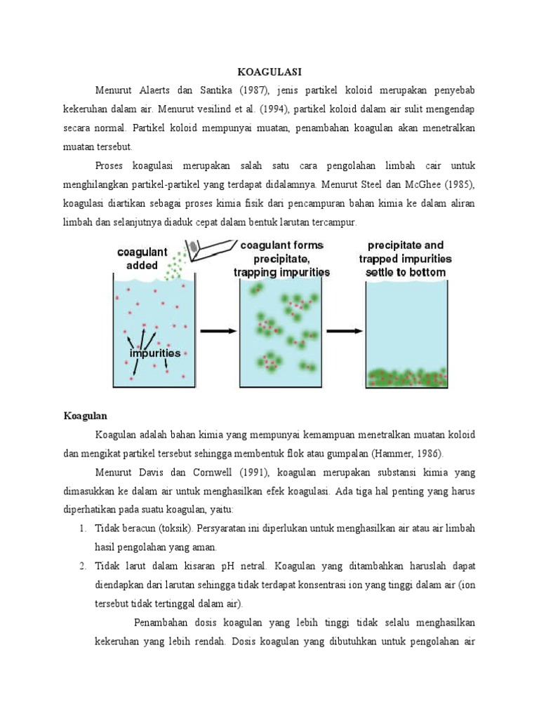KOAGULASI | PDF