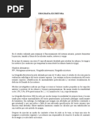 Protocolo UroTAC: Indicaciones y Fases | PDF