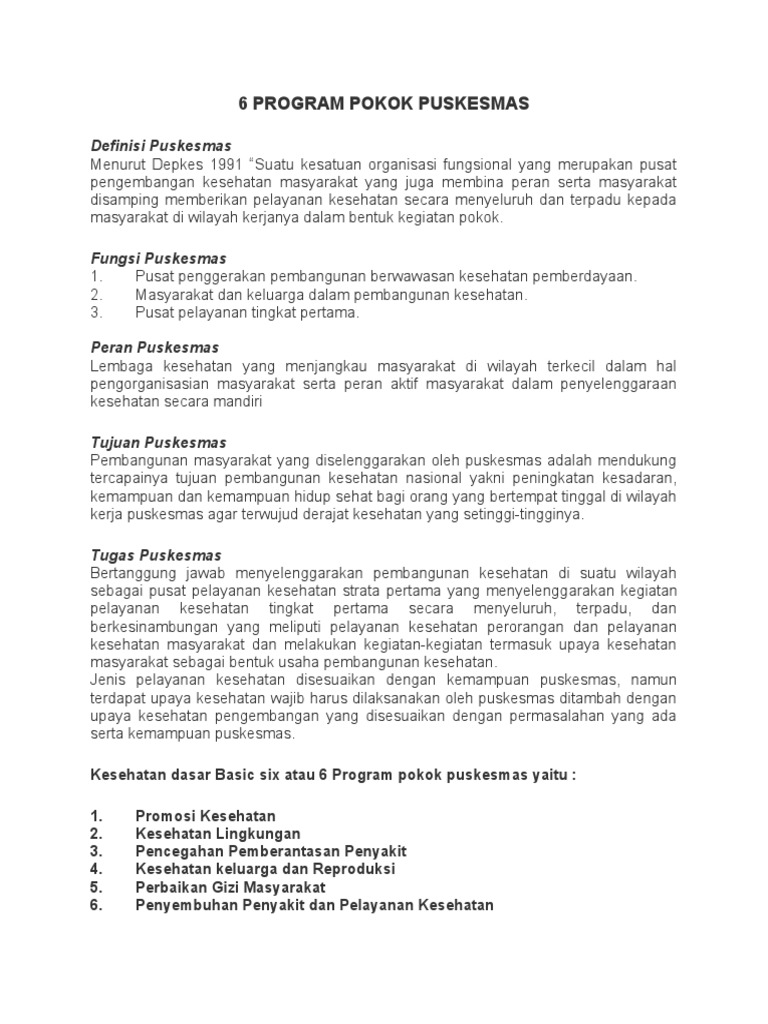 6 Program Pokok Puskesmas | PDF