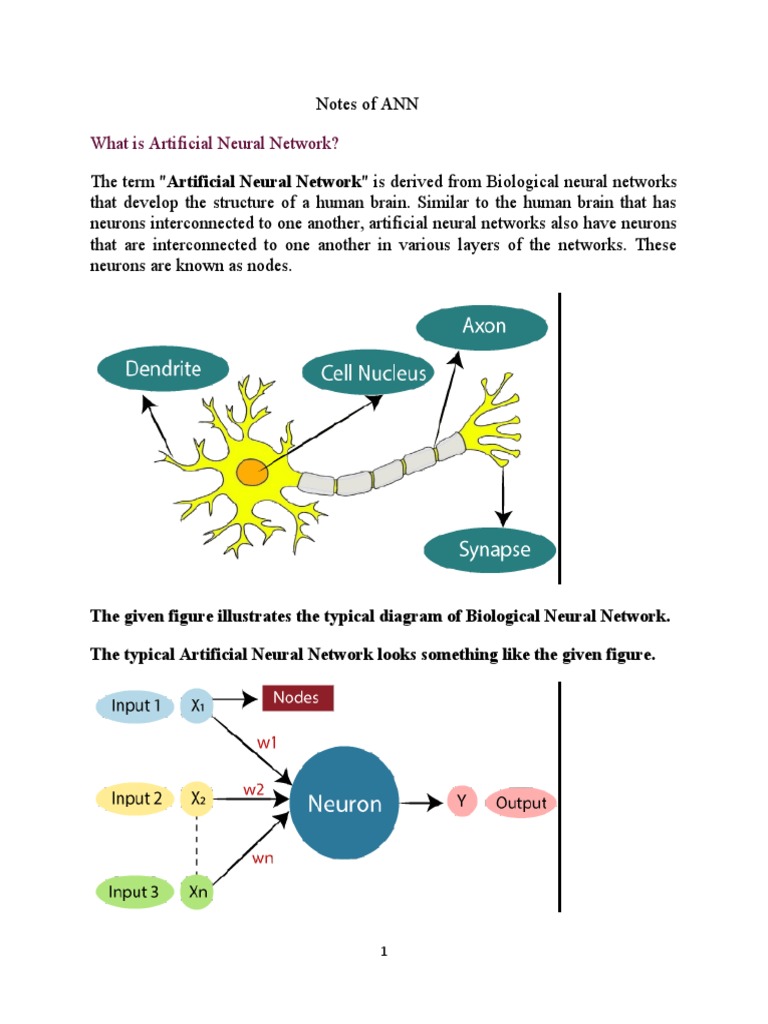 Notes of ANN | PDF | Artificial Neural Network | Neuron