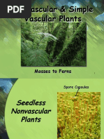 BC Tree Book | PDF | Pine | Trees