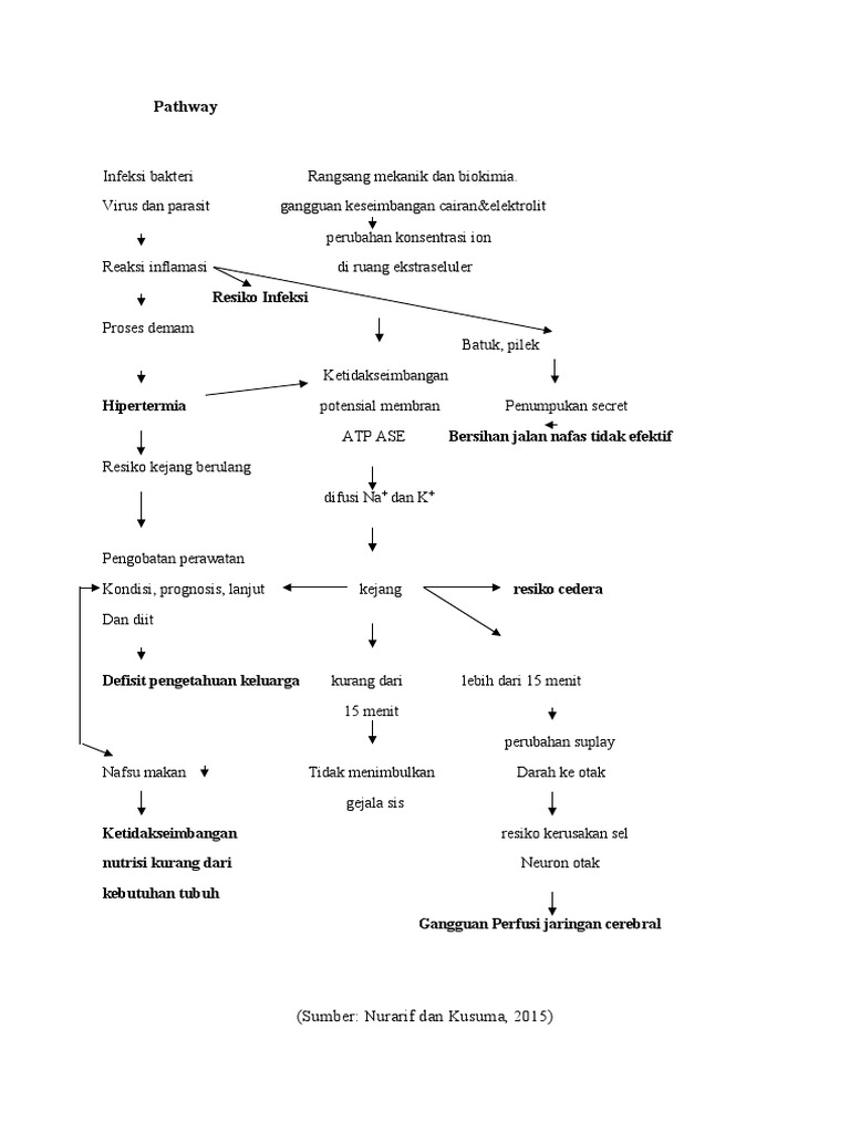 Pathway KEJANG | PDF