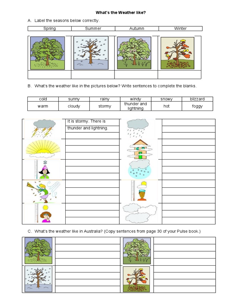 Weather Worksheet | PDF