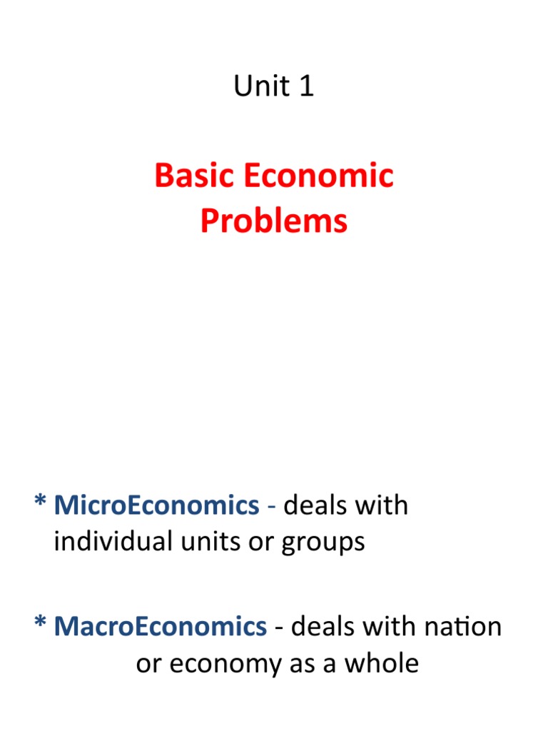 IGCSE Unit 1 Presentation | PDF | Economics | Business Economics