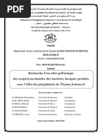 Sporulation et structure des spores bactériennes | PDF | Spore | Biologie