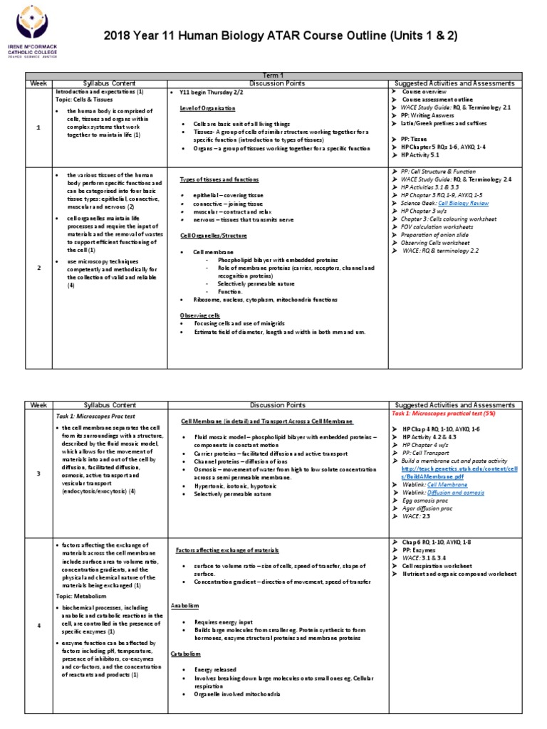 Year 11 Human Biology Course Outline | PDF | Gene | Cellular Respiration