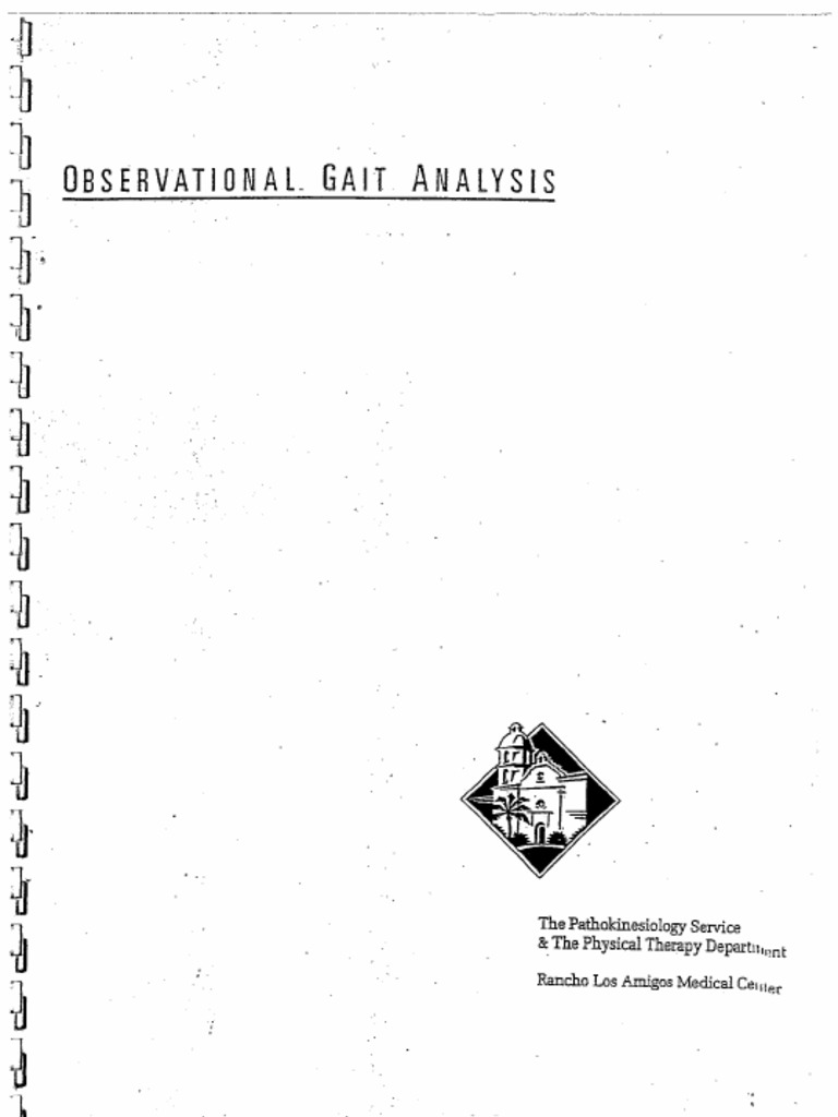 Observational Gait Analysis - Los Amigos Research & Education Center | PDF