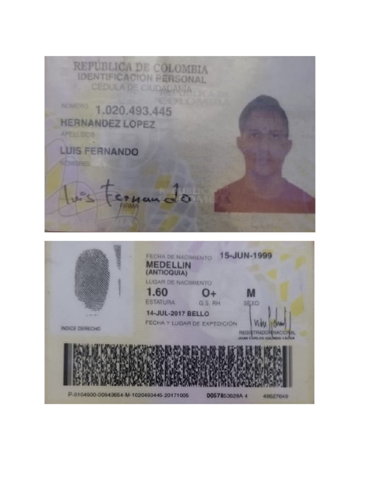 Cedula Luis Fernando | PDF