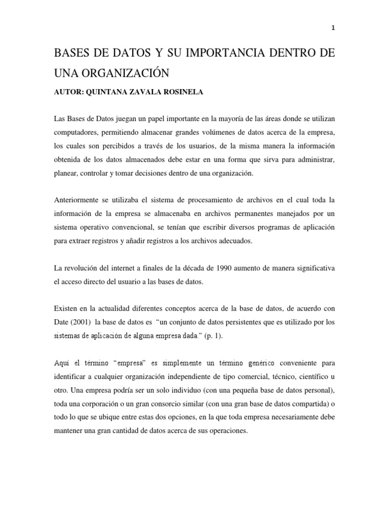 Bases-De-Datos-Importancia-Organización 2 | PDF | Bases de datos ...