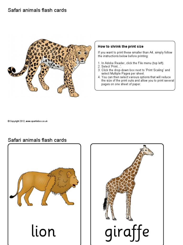 Savanah Animals Flashcards PDF | PDF