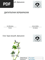 Prijava Boravka-Beli Karton | PDF