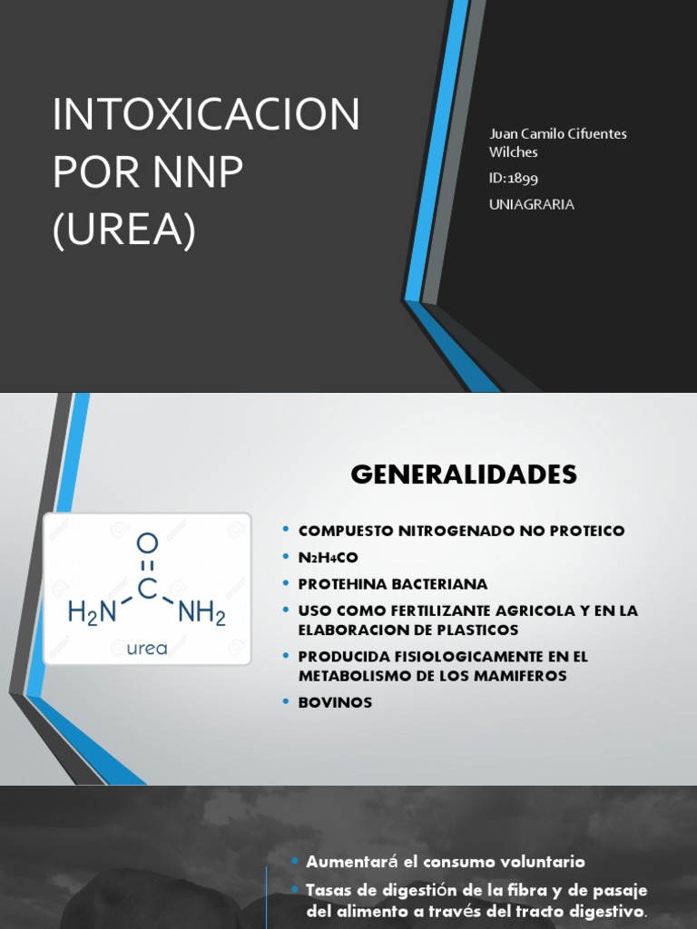 Intoxicacion Por Urea | PDF | Urea | Amoníaco