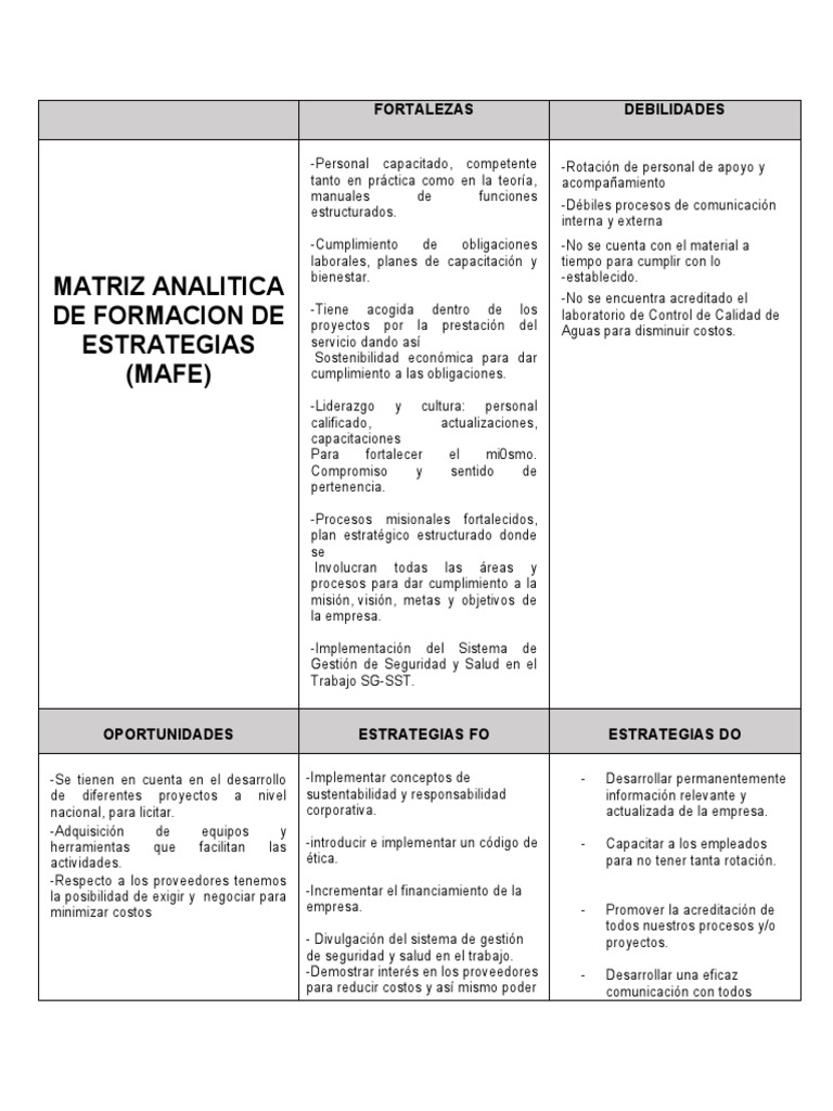 Matriz Mafe | PDF | Sustentabilidad | Calidad (comercial)
