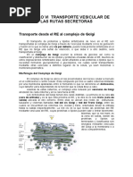 Tráfico Vesicular: COPI y COPII en Células | PDF | Retículo ...