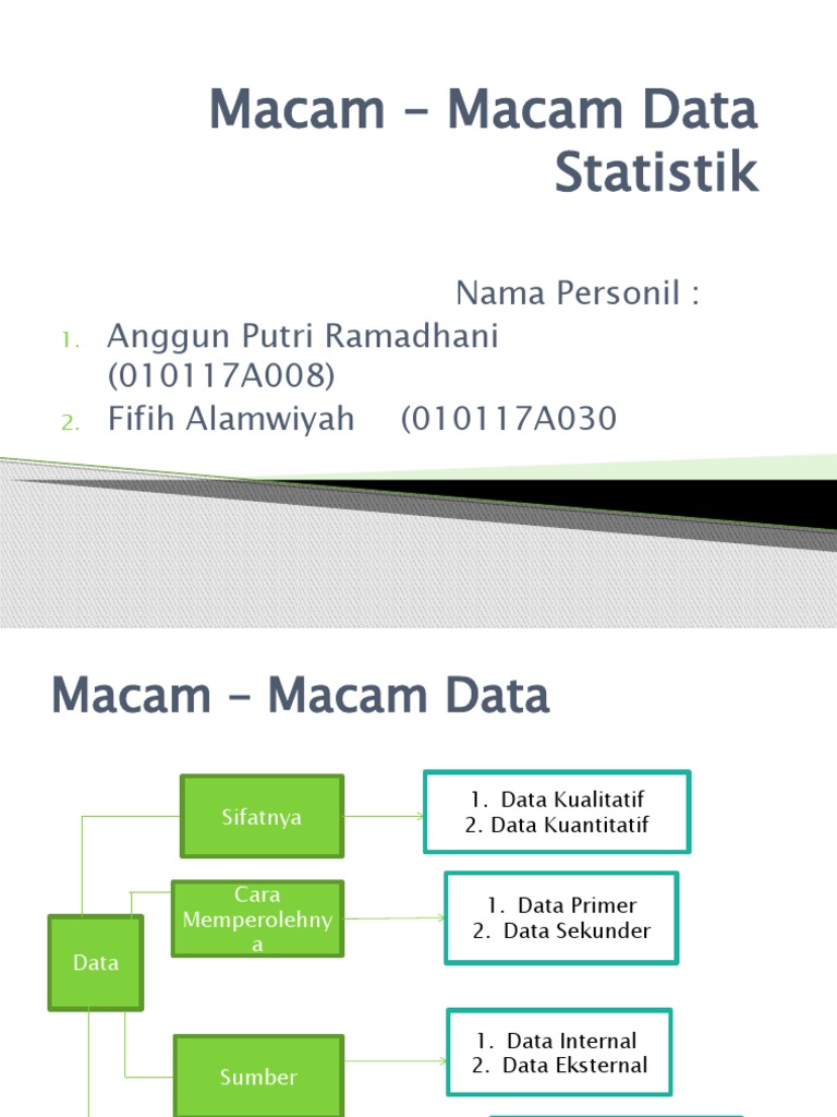 Macam - Macam Data Statistik | PDF