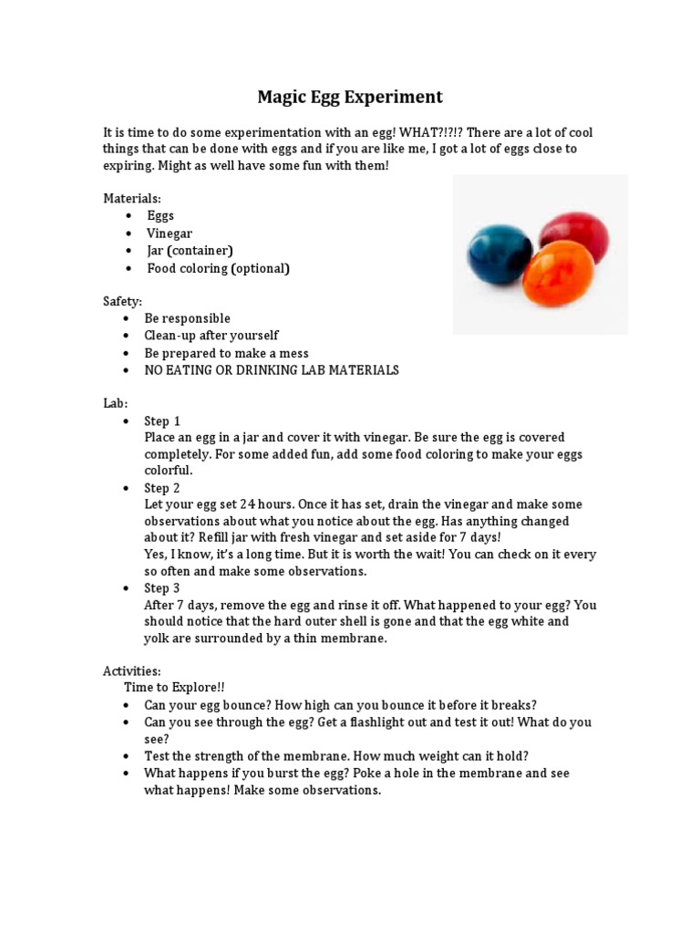 Magic Egg Experiment | PDF | Egg As Food | Atoms