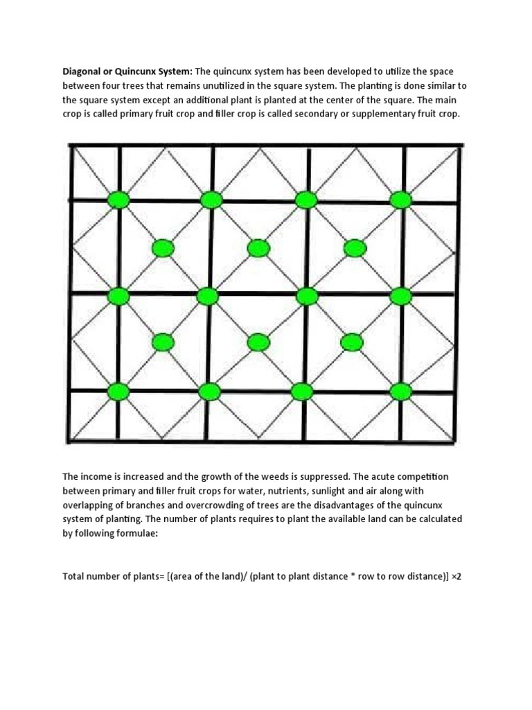 Diagonal or Quincunx System | PDF