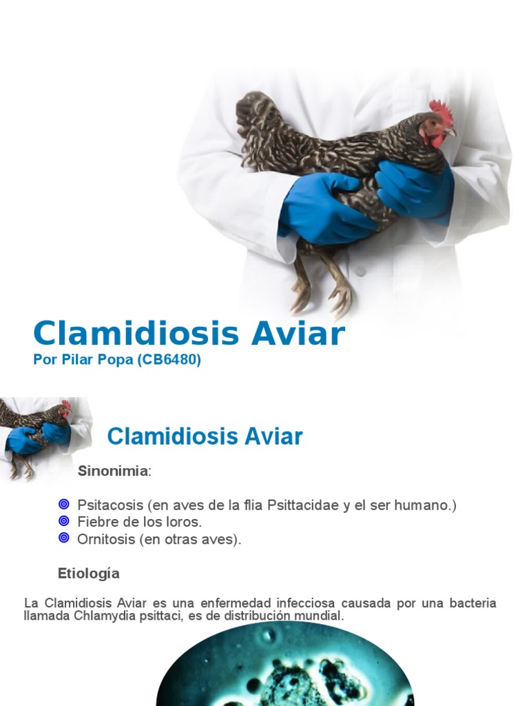 Clamidiosis Aviar: Guía Completa | PDF | Microbiología | Enfermedades y ...