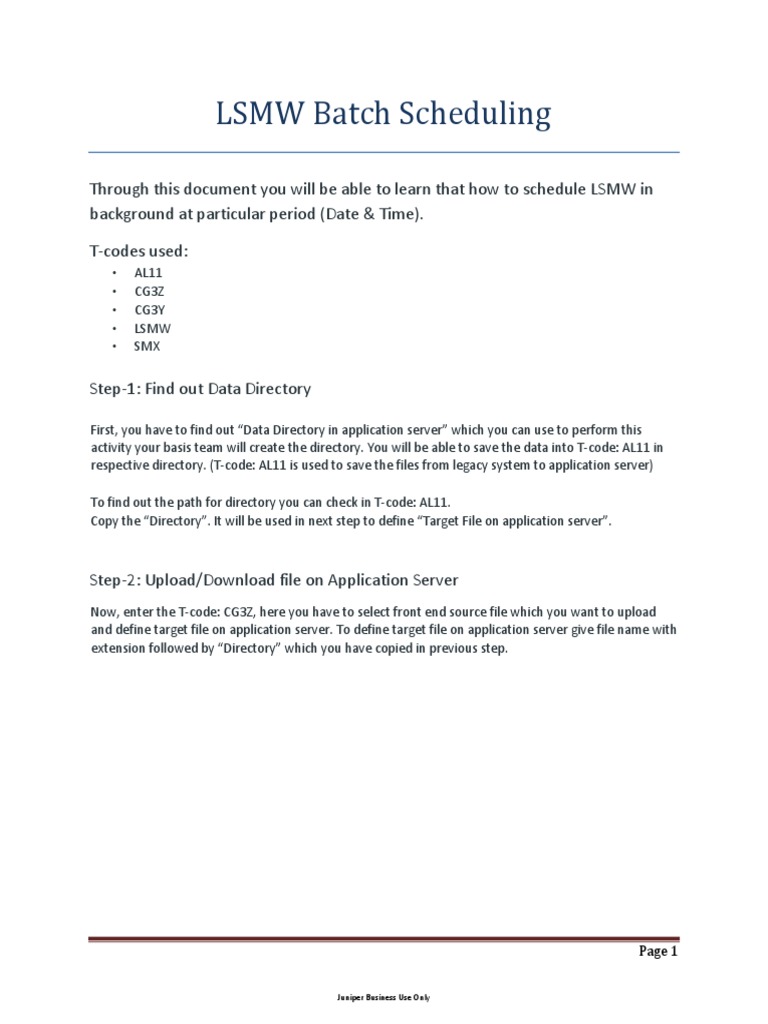 LSMW Batch Scheduling | PDF | Download | Computer File