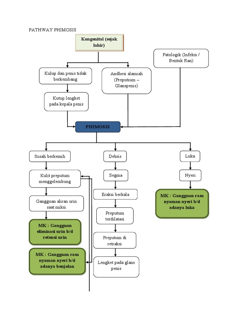 Pathway Phimosis | PDF