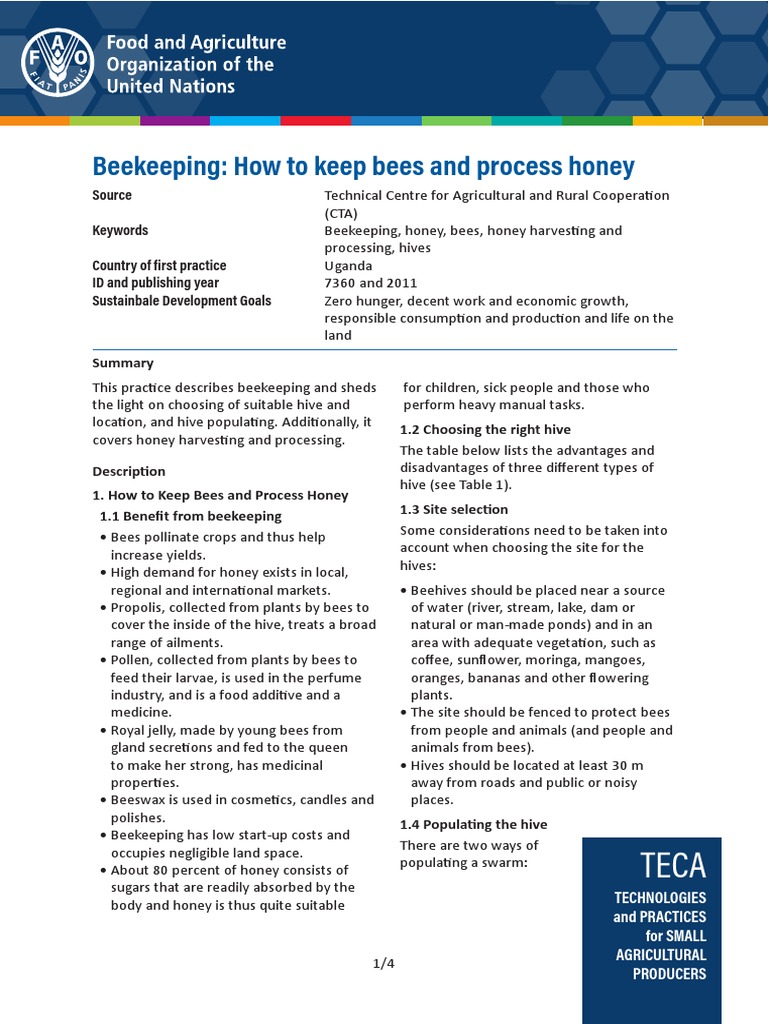 Beekeeping: How To Keep Bees and Process Honey | PDF | Beehive | Beekeeping