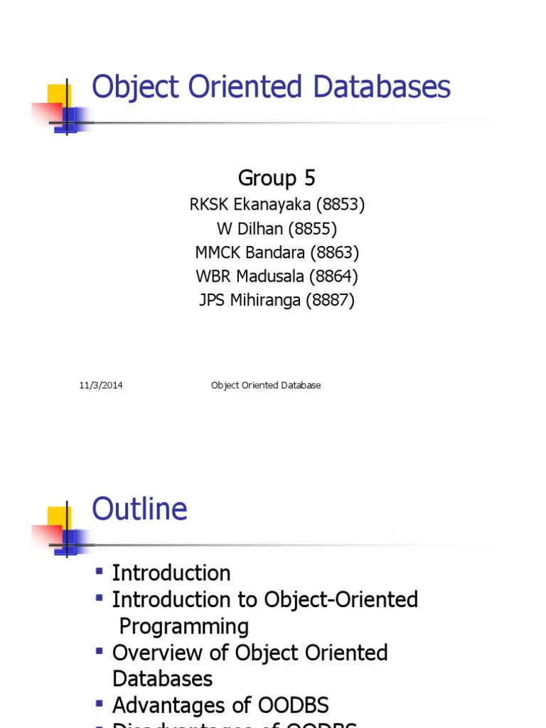 Object Oriented Databases Group Project | PDF | Object (Computer Science) | Object Oriented ...