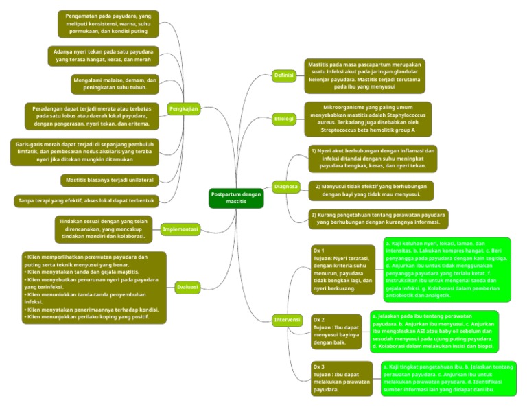 Revisi Mind Map Mastitis Hilda 2a PDF | PDF